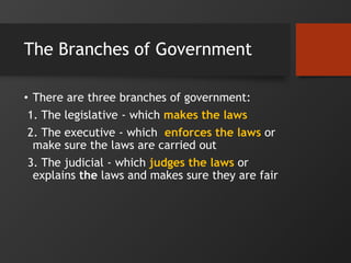 3. constitution 101.ppt | Law