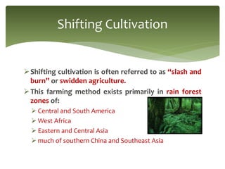 3.1 Subsistence Agriculture & BD.pptx