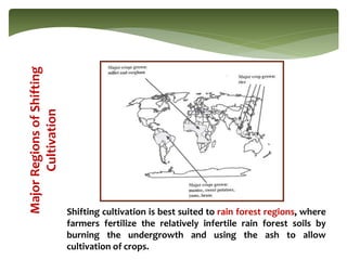 3.1 Subsistence Agriculture & BD.pptx