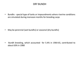 3.1. Breeding of carps in bundhs.ppt