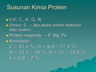 3.PROTEIN_.ppt