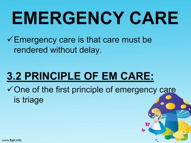 principles of EMERGENCY CARE | PPTX | First Aid | Injuries