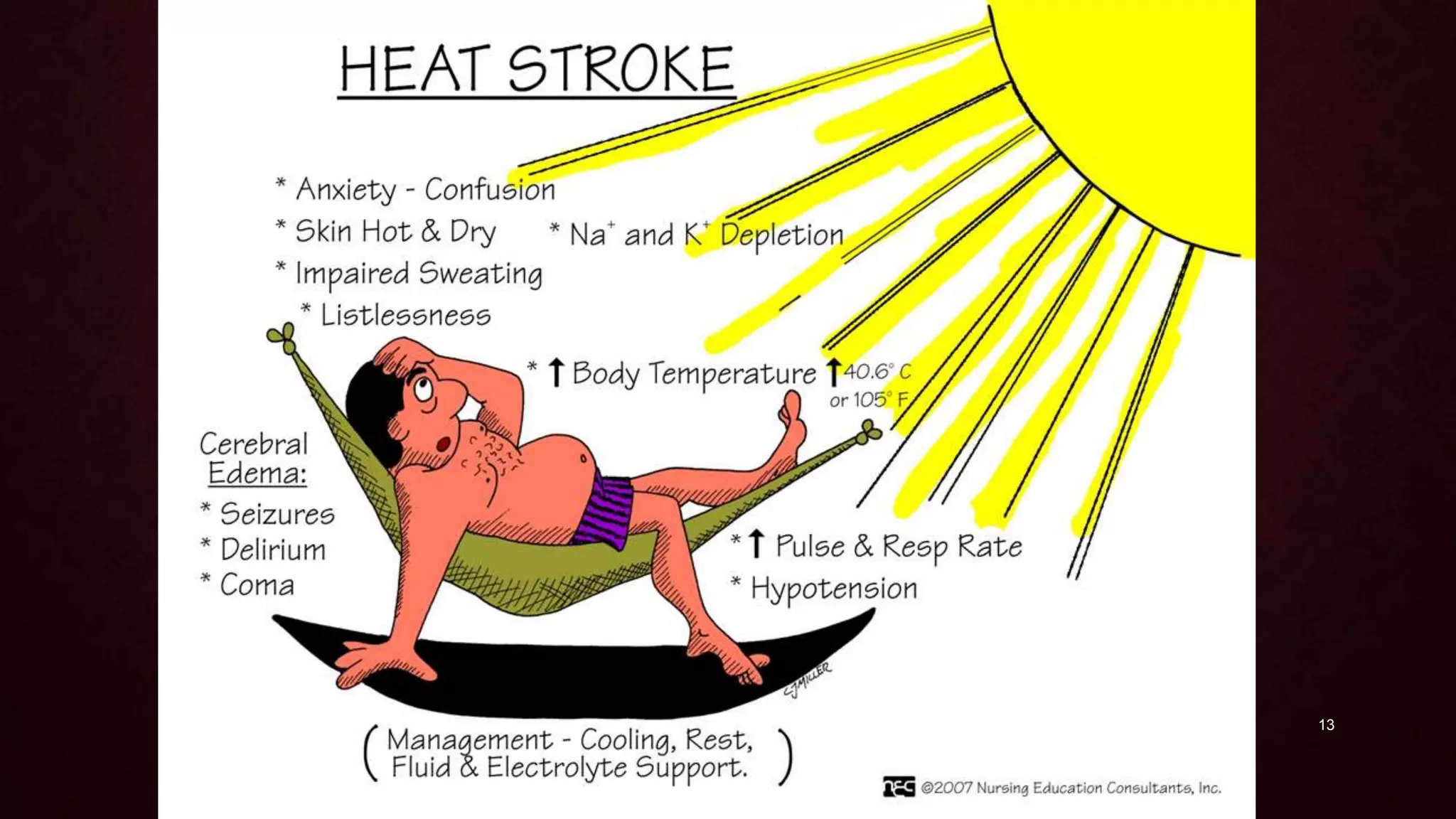 Heat stroke | PPTX