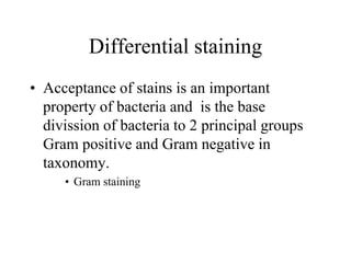 3._gram_staining_01.ppt