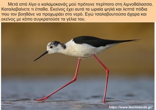 3.Ο φίλος μας ο άνεμος Τ.Ε.pdf