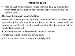 4. Digestive system.pptx