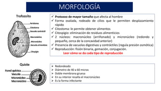 3. Protozoos. Ciliados y Coccidios.pdf