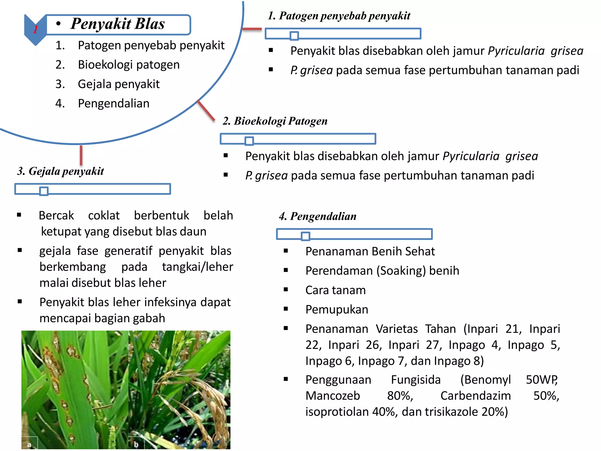 3. MATERI PENYULUHAN PHT PADI.pptx