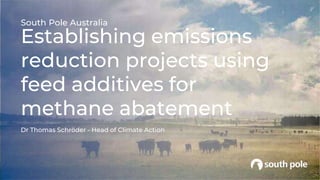 3. Feed Additives - Presentation - Feedworks Conference 2022-compressed ...