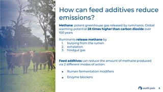 3. Feed Additives - Presentation - Feedworks Conference 2022-compressed ...