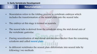 Neurulation ecto endo annd meso.pdf
