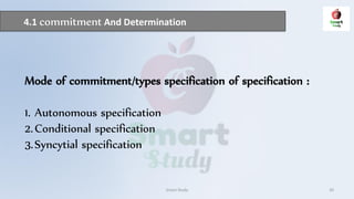 Neurulation ecto endo annd meso.pdf