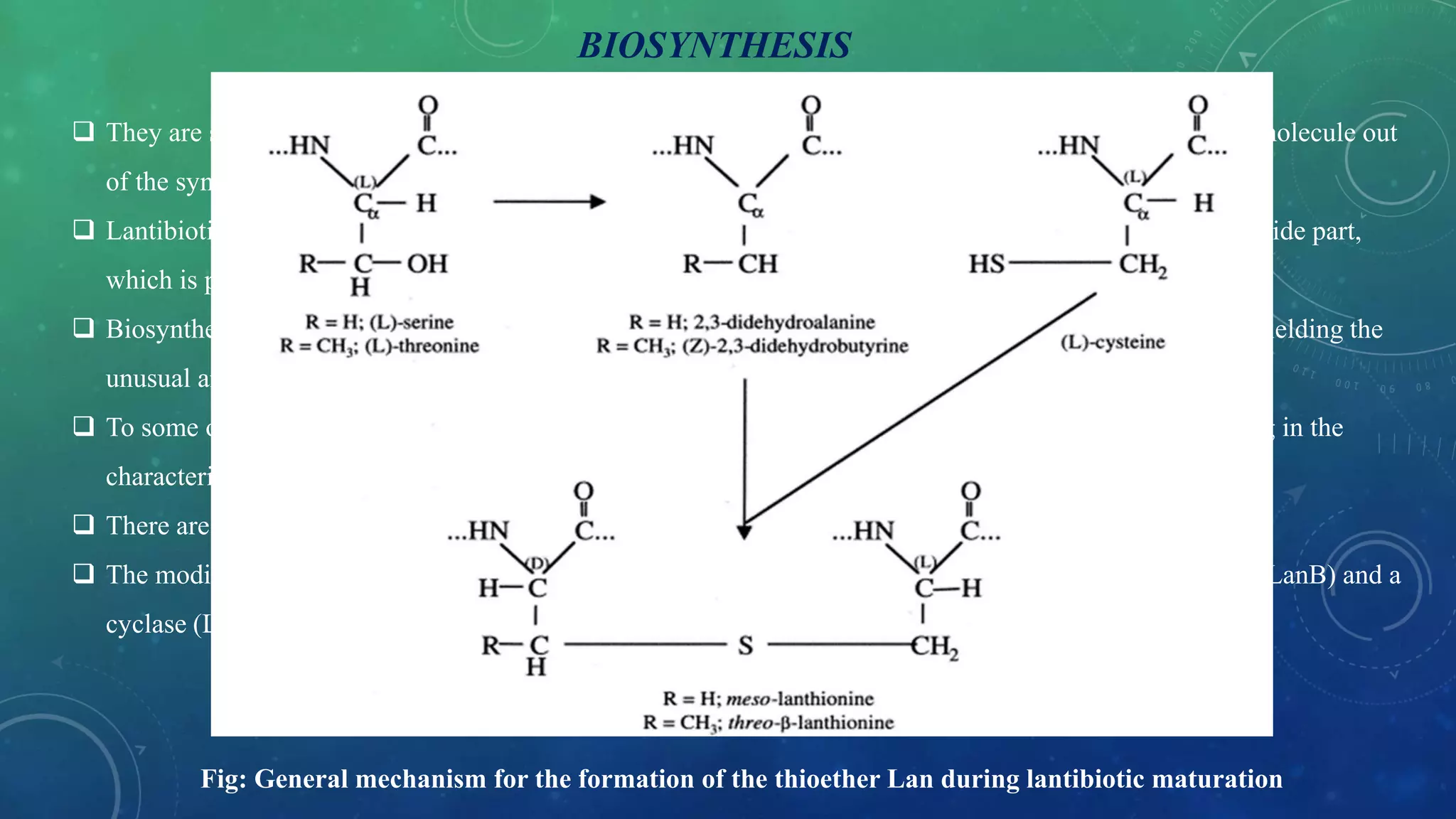 3.lantibiotic.pptx