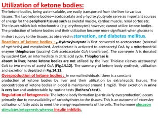 3.METABOLISM OF LIPIDS.pptx