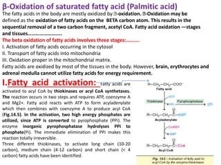 3.METABOLISM OF LIPIDS.pptx