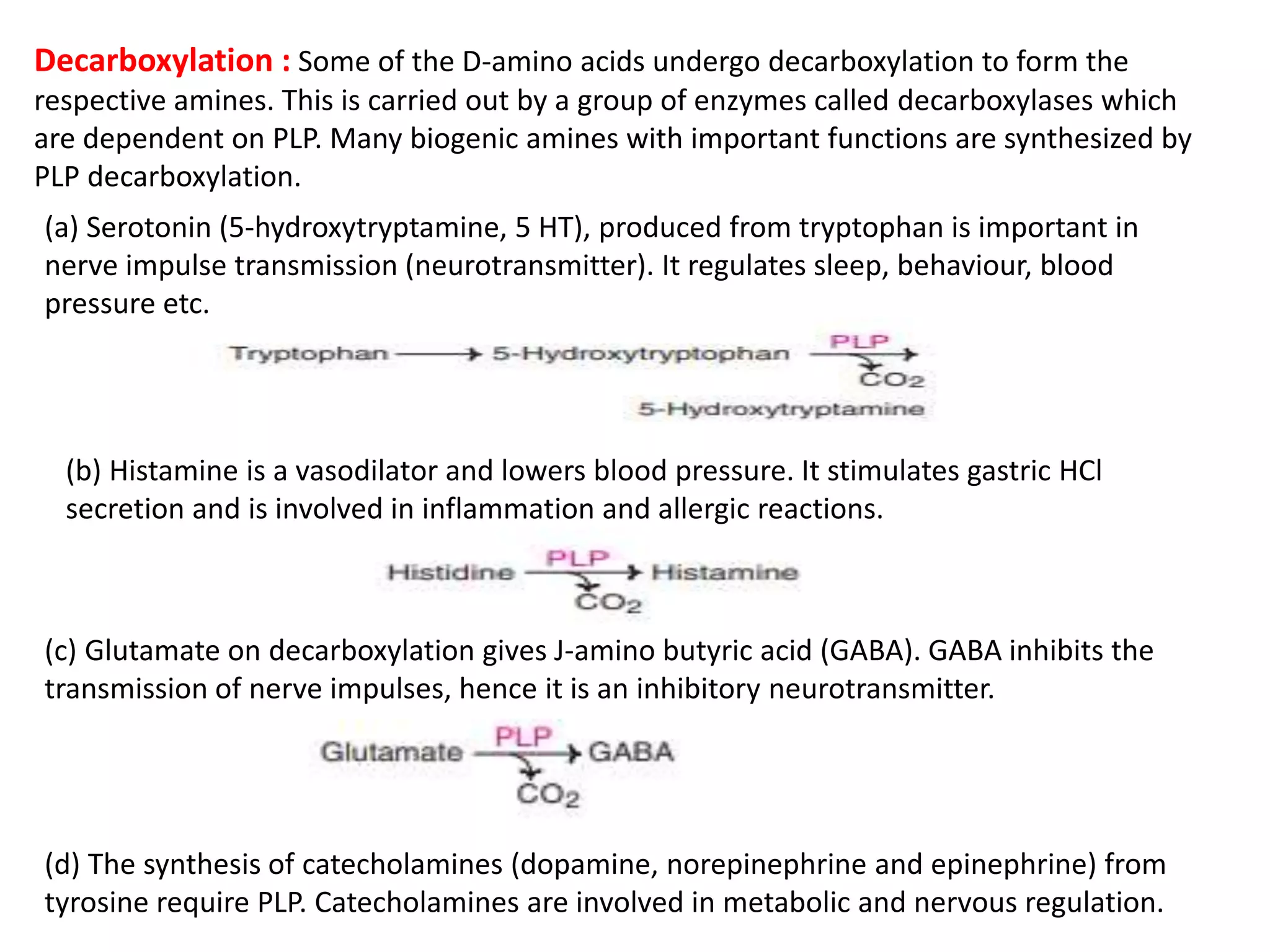 3.TRANSAMINATION.pptx | Chemistry | Science