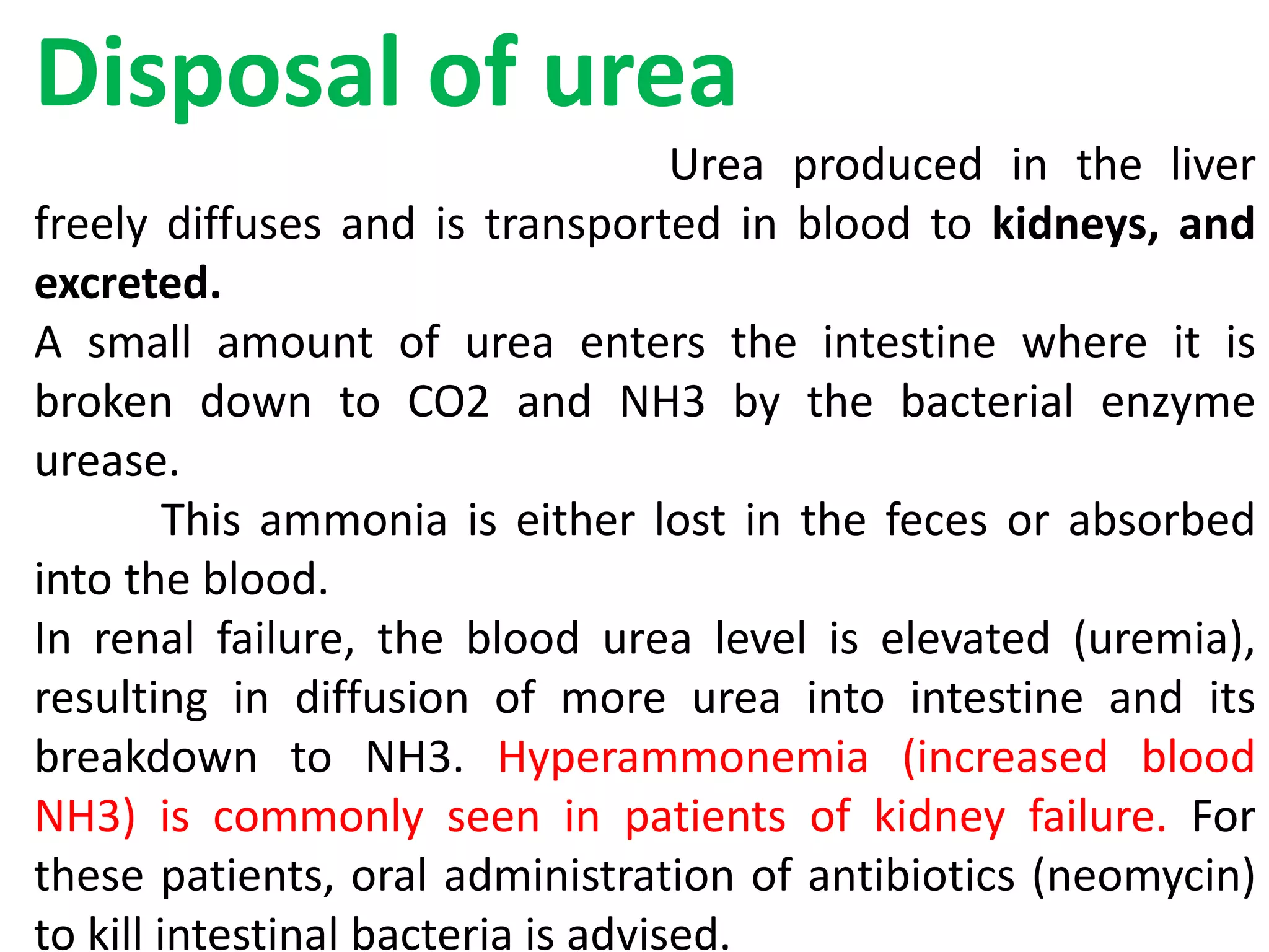 3.TRANSAMINATION.pptx