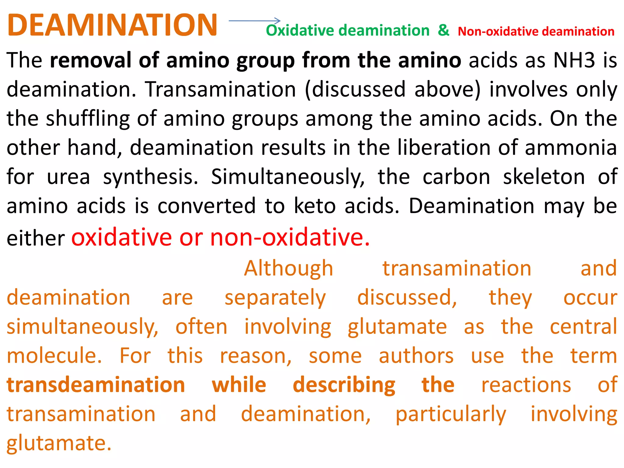 3.TRANSAMINATION.pptx