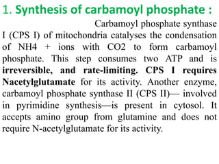 3.TRANSAMINATION.pptx