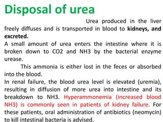 3.TRANSAMINATION.pptx
