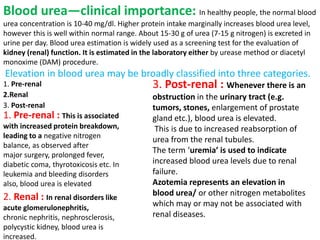 3.TRANSAMINATION.pptx