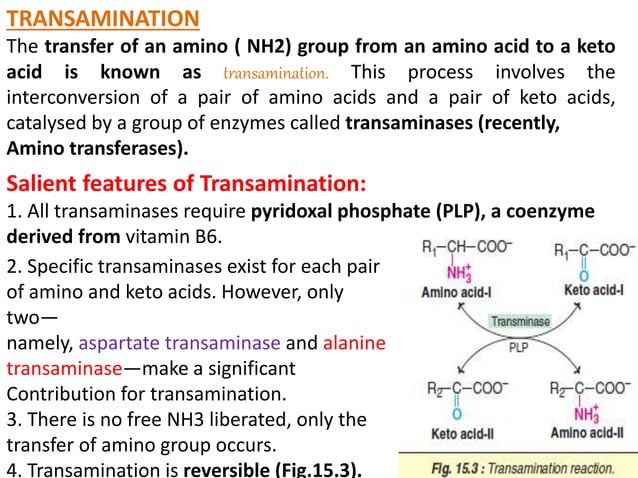 3.TRANSAMINATION.pptx | Chemistry | Science
