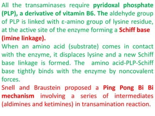 3.TRANSAMINATION.pptx