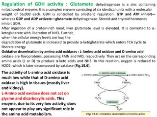 Glutamate Dehydrogenase Transamination