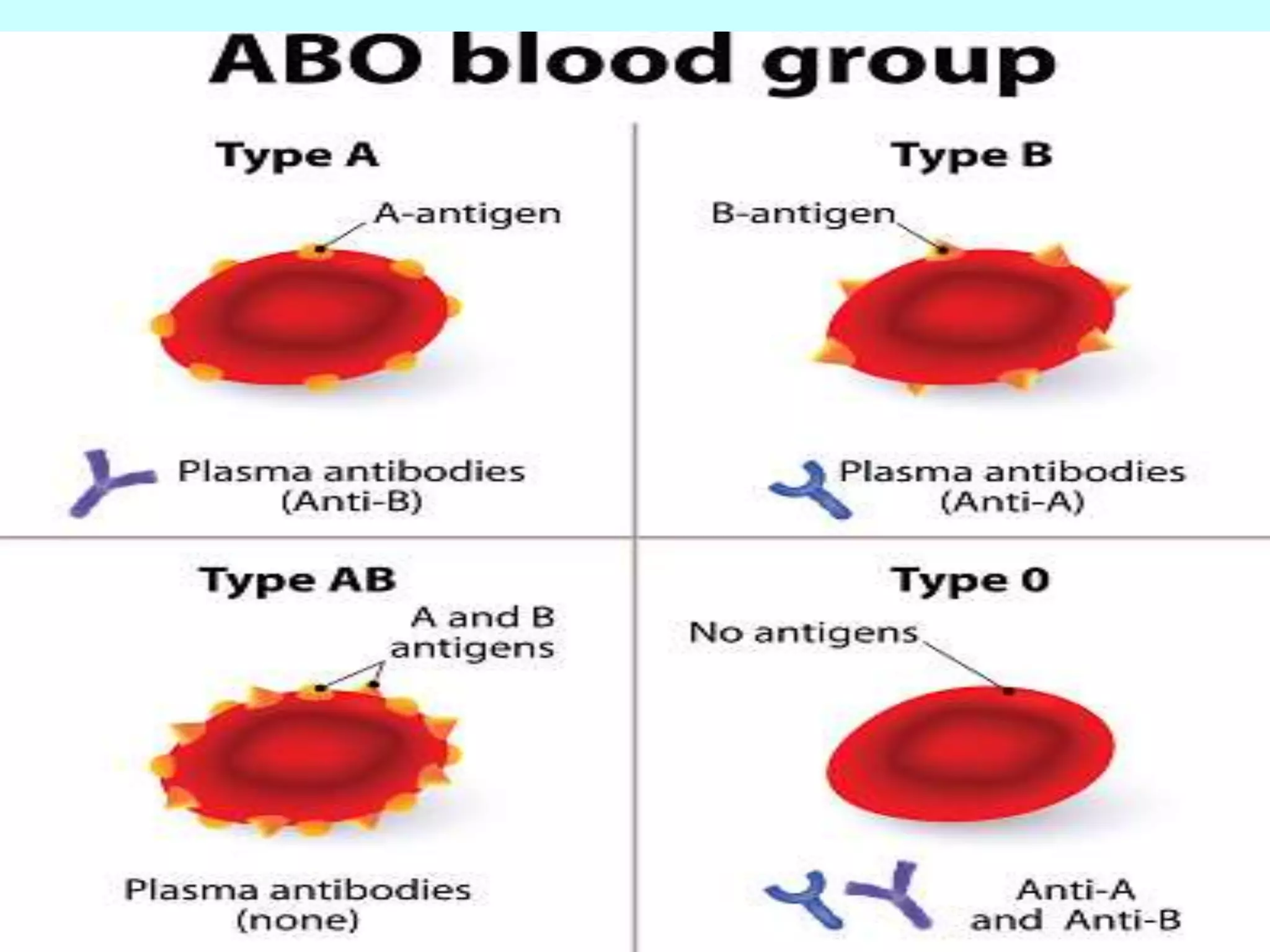 Hematopoietic system-Human Blood,blood grouping,blood clotting | PPT