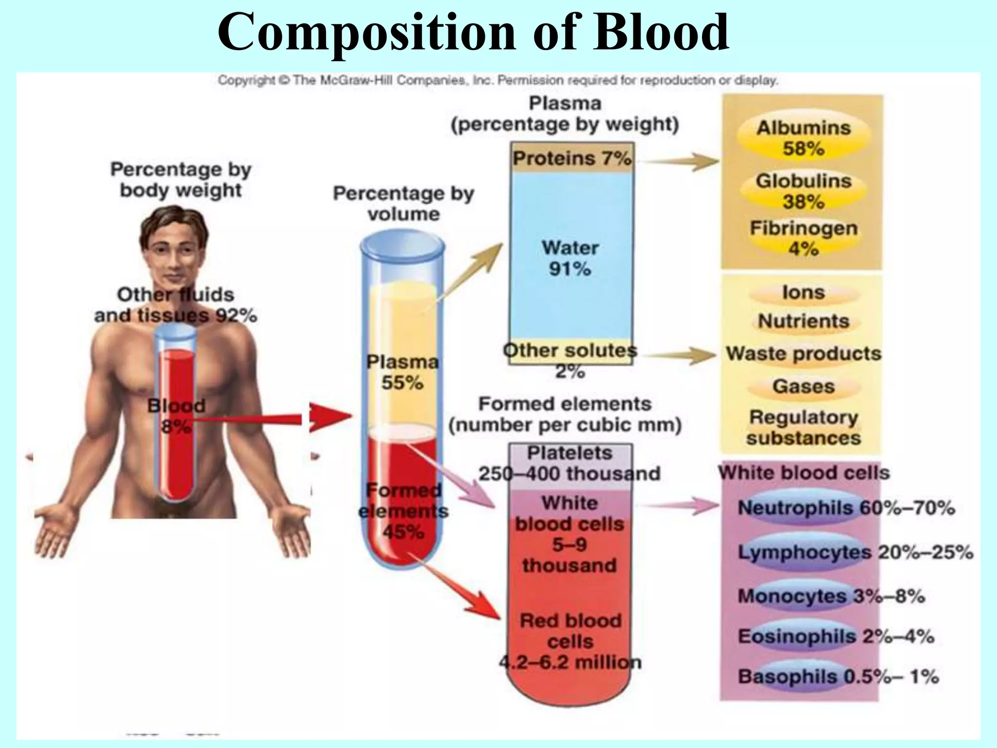 Hematopoietic system-Human Blood,blood grouping,blood clotting | PPT