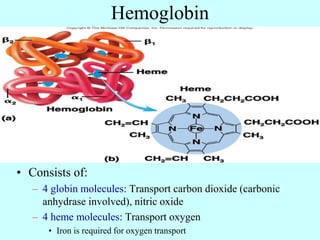 Hematopoietic system-Human Blood,blood grouping,blood clotting | PPT