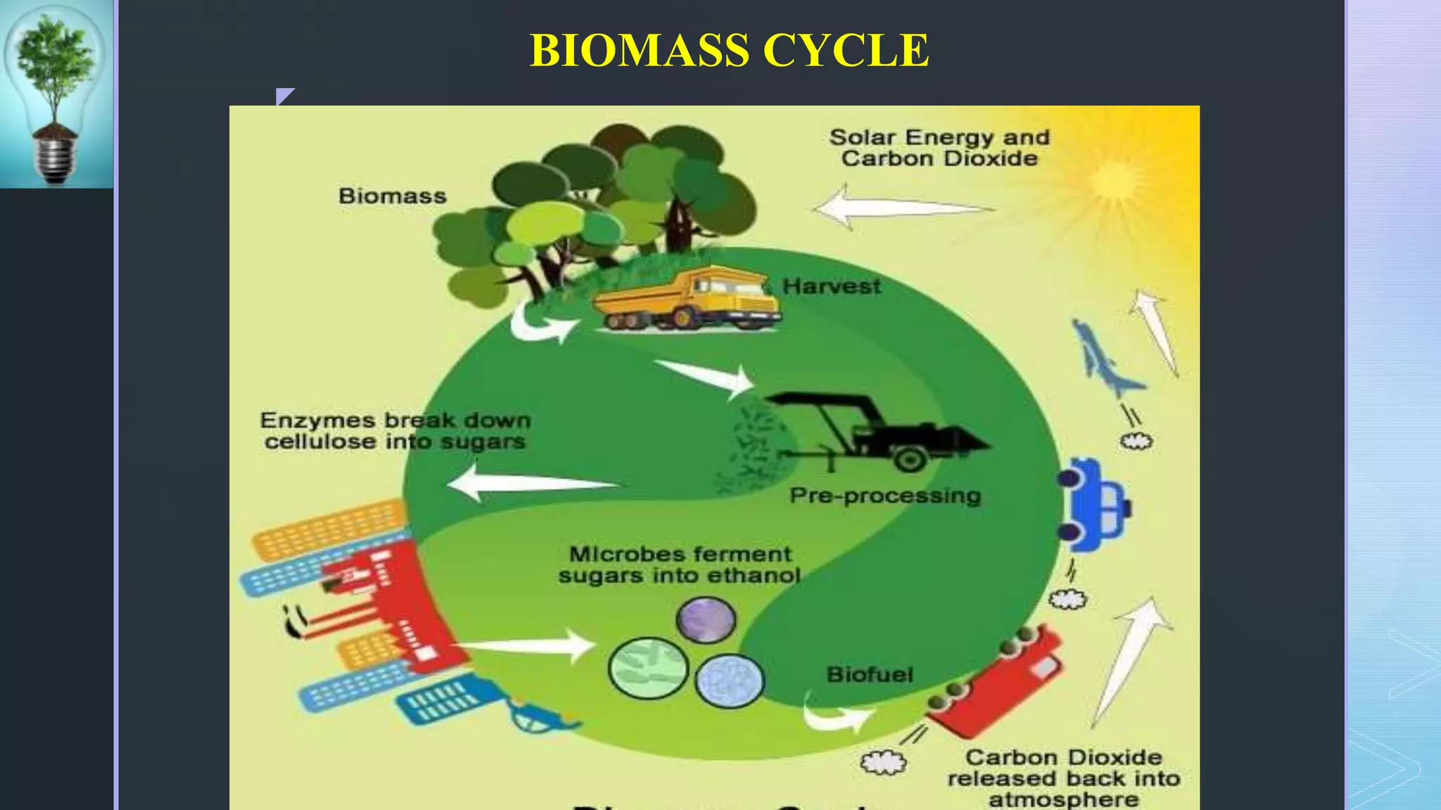 3. BIOMASS ENERGY.pptx
