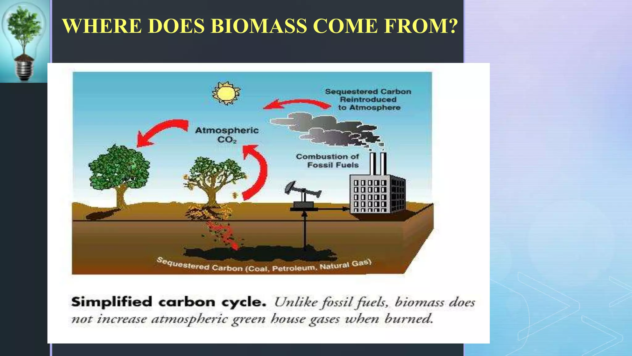 3. BIOMASS ENERGY.pptx