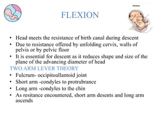 3.mech of labour.pptx