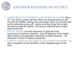 3.mech of labour.pptx | Pregnancy | Reproductive Health