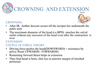 3.mech of labour.pptx | Pregnancy | Reproductive Health