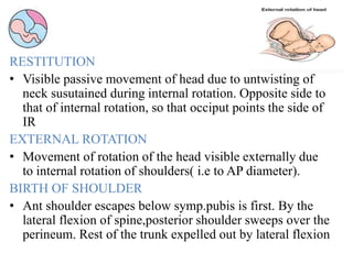 3.mech of labour.pptx