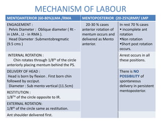 3.mech of labour.pptx | Pregnancy | Reproductive Health