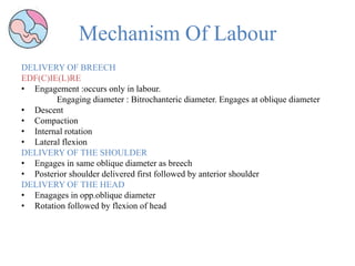 3.mech of labour.pptx