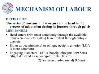 3.mech of labour.pptx | Pregnancy | Reproductive Health