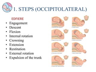 3.mech of labour.pptx | Pregnancy | Reproductive Health