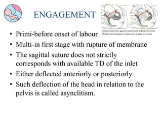 3.mech of labour.pptx