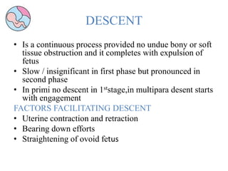 3.mech of labour.pptx