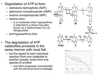 3.1 Postmortem changes - 1.pdf