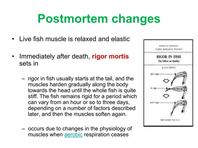 3.1 Postmortem changes - 1.pdf