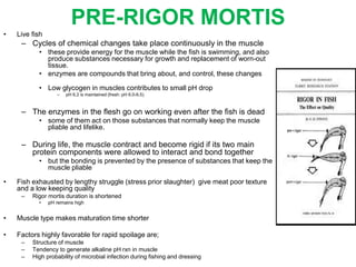 3.1 Postmortem changes - 1.pdf