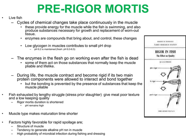 3.1 Postmortem changes - 1.pdf