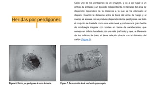 3. balistica forense.pptx