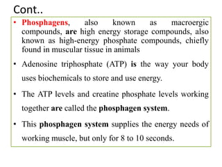 3. 2 basic energy system.pptx