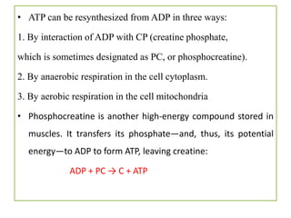 3. 2 basic energy system.pptx